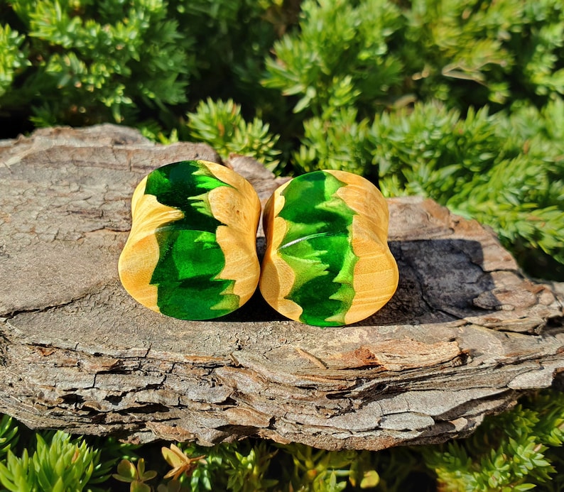 Pair of Unique Natural Plugs Gauges 00 Plugs and Tunnels 00 - Etsy
