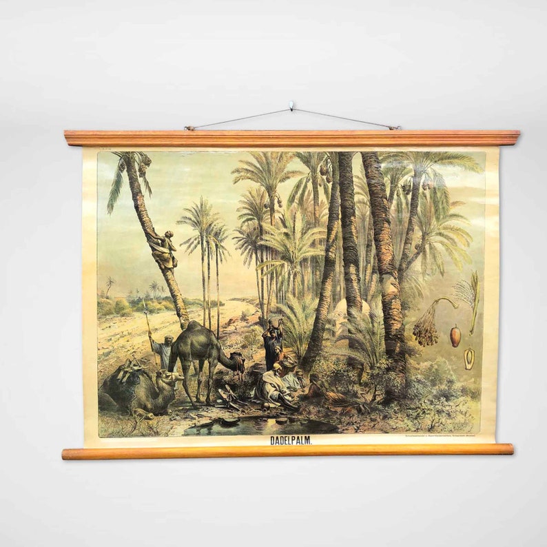 Vintage Wall Chart Date Palms // Pull Down Map // Date Palm // - Etsy ...
