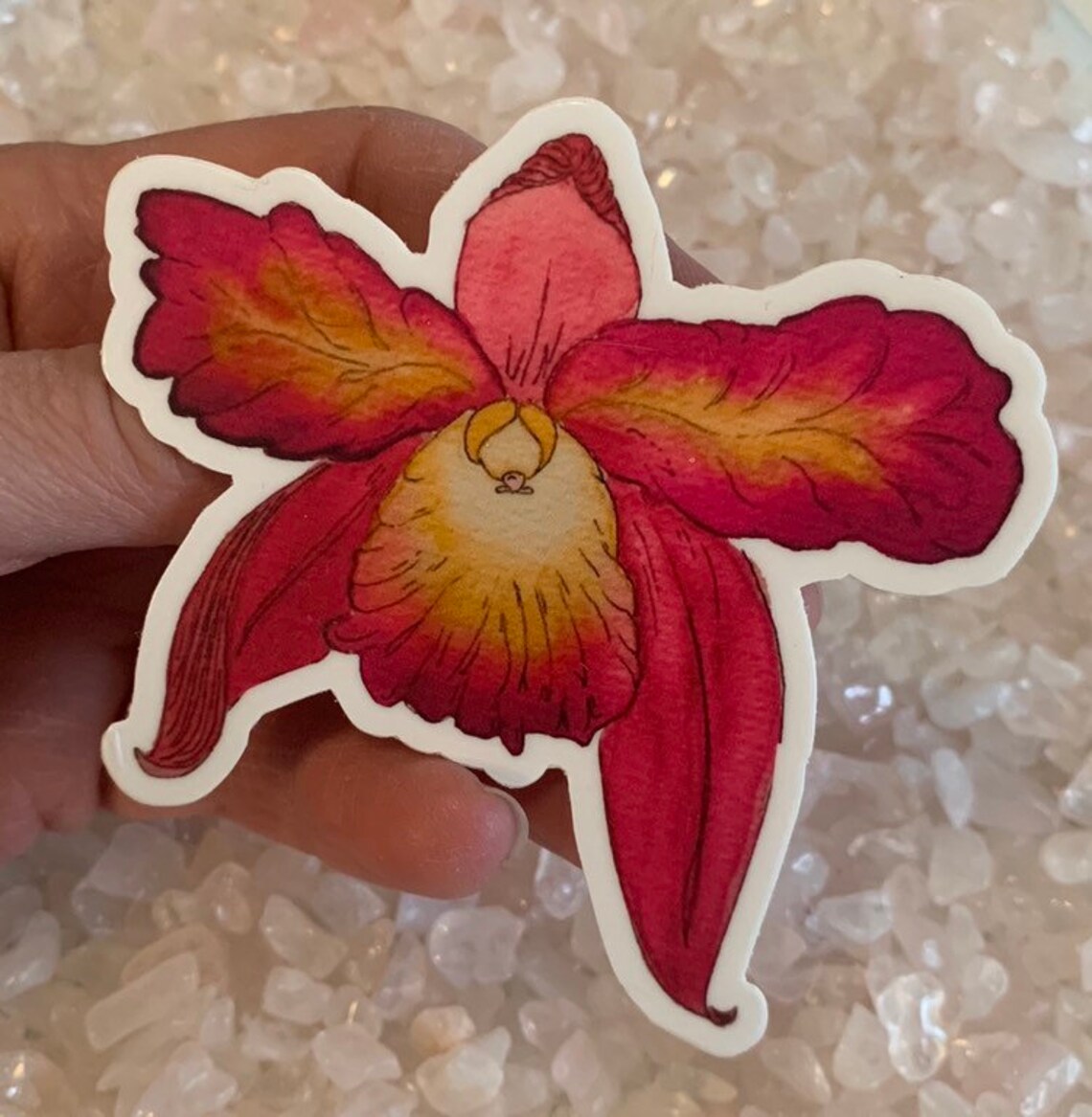 Cattleya Orchid Sticker Orchid Stickers Orchids | Etsy