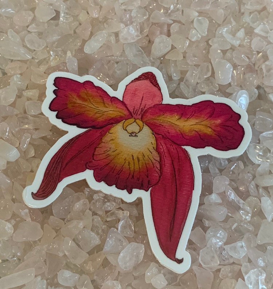 Cattleya Orchid Sticker Orchid Stickers Orchids | Etsy