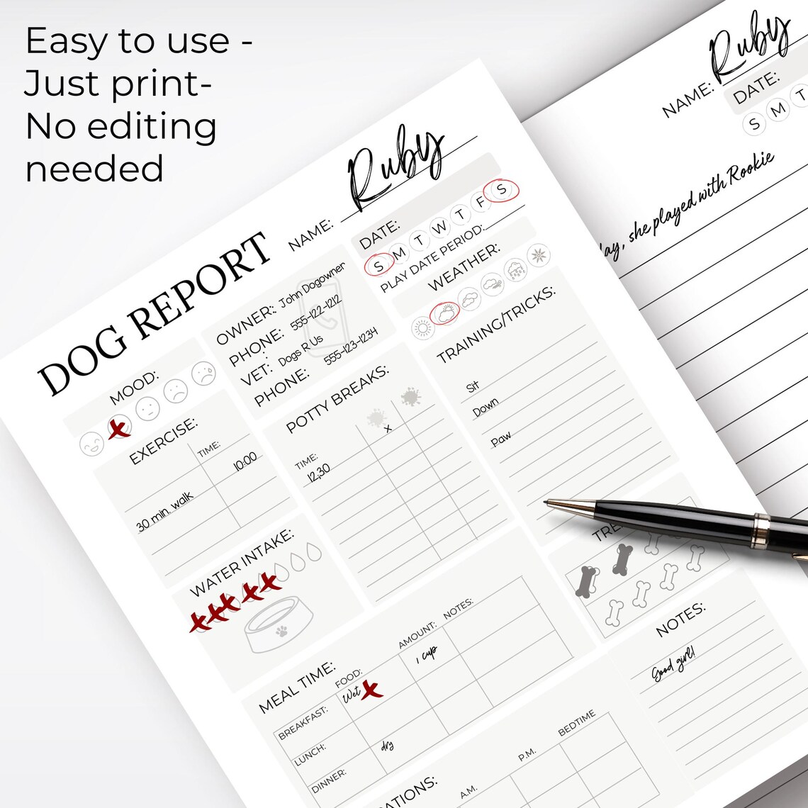 Dog Report Card Printable: Pet Sitter Form (PDF) Vet Information ...