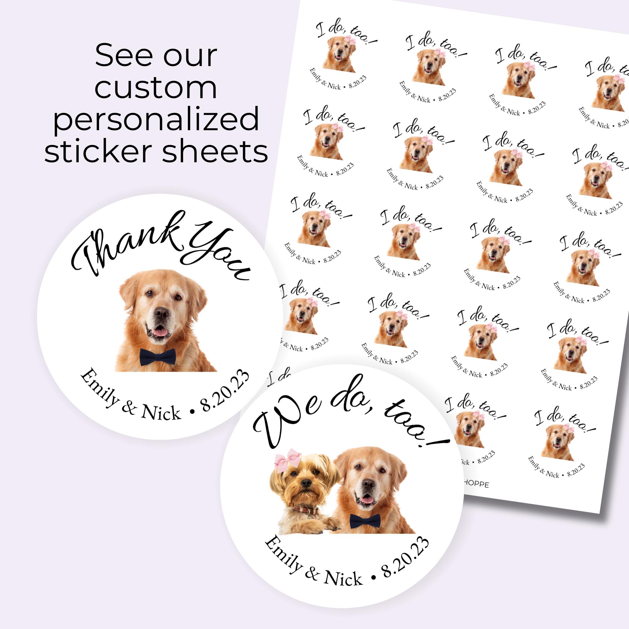 Dog Thank You Note Card Set, Dog Lover Stationery Gift, Vet, Pet Sitter ...