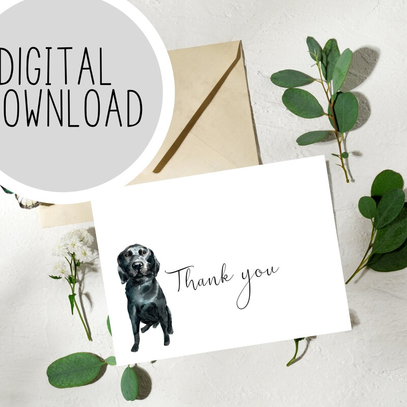 Dog Thank You Note - Etsy
