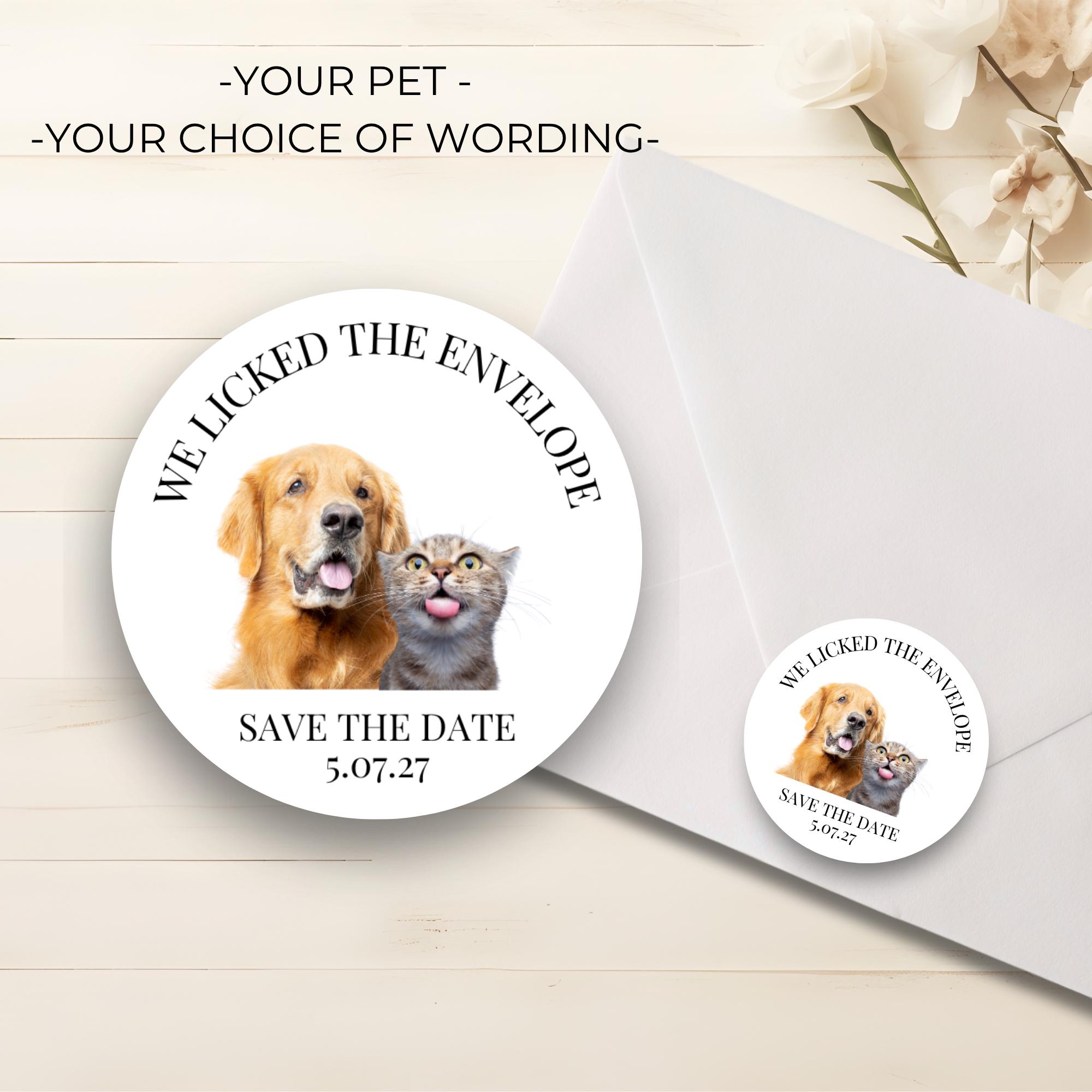 Save The Date Clip Art With Cat