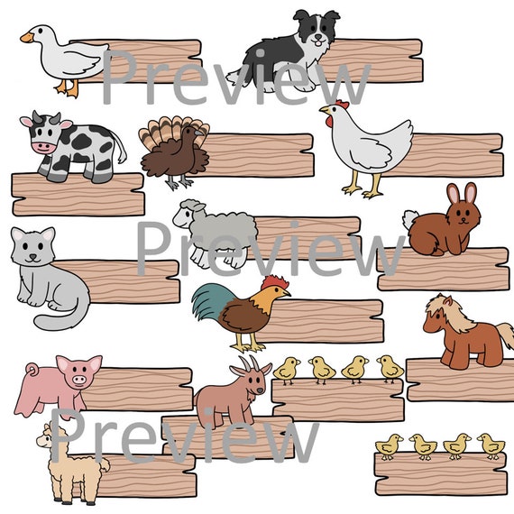 Farm Animals Pictures With Names