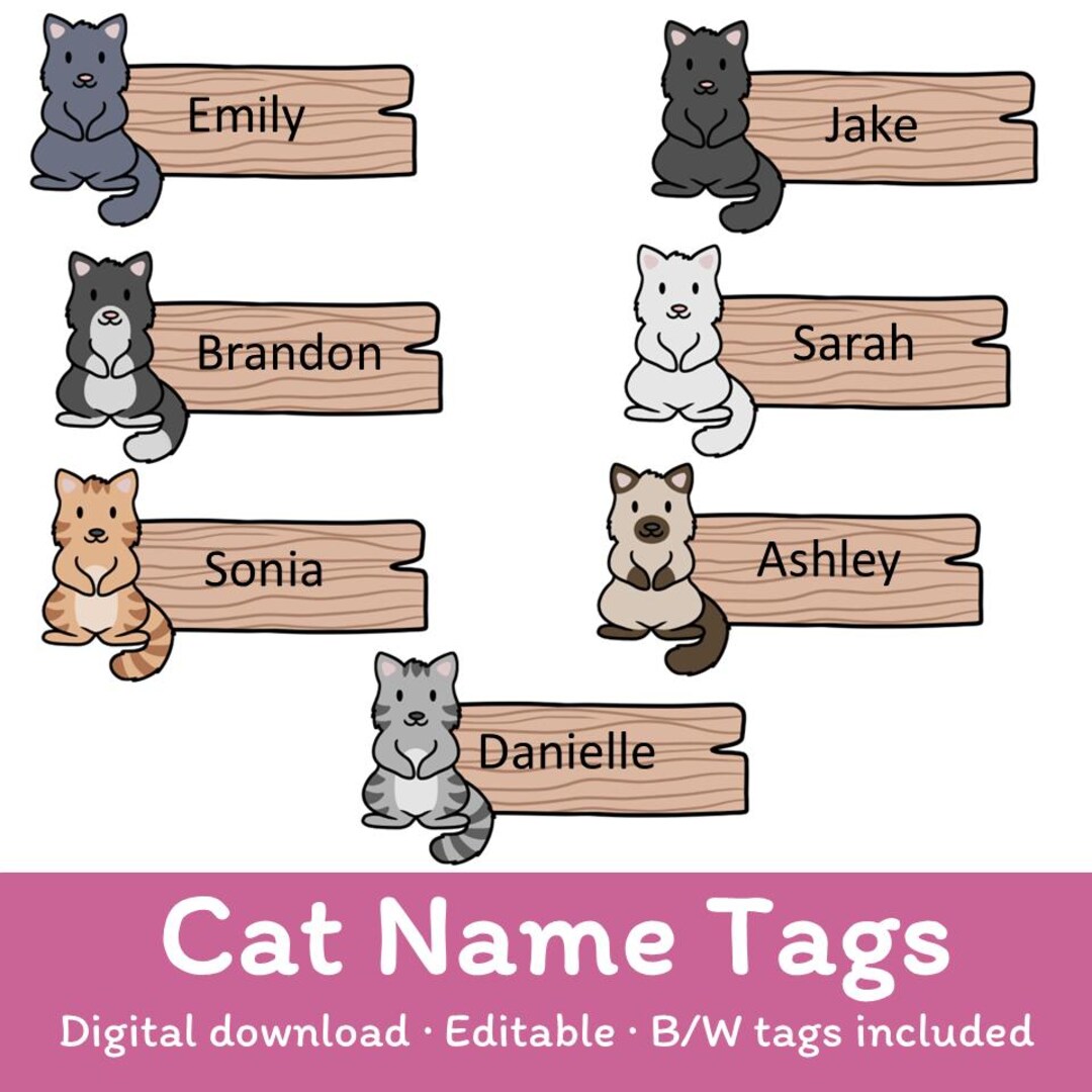 Editable Cat Name Tags: Printable Classroom Decor (digital Product Only ...