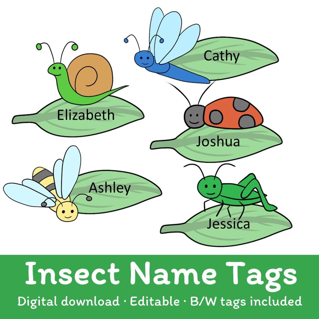 Editable Insect Name Tags, Cute Printable Name Plates for Bulletin ...
