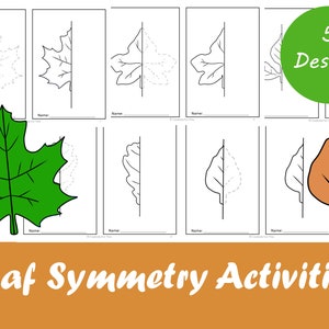 Leaf Symmetry Activities - Etsy