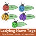 Editable Ladybug Name Tags - Etsy