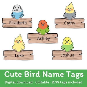 Editable Cute Bird Name Tags, Cute Printable Name Plates for Bulletin ...