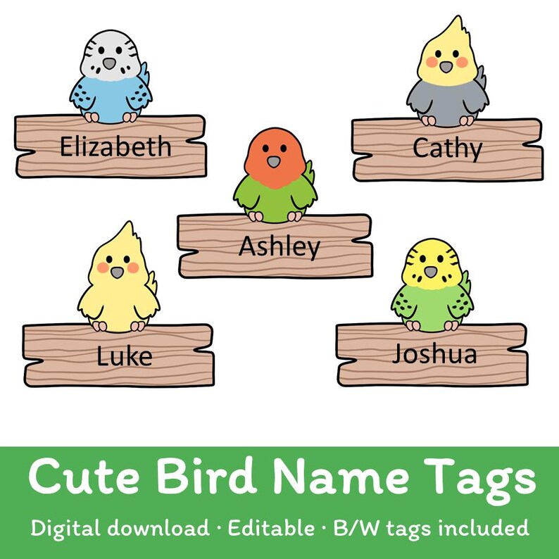Editable Cute Bird Name Tags, Cute Printable Name Plates for Bulletin ...