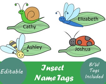 Butterfly Theme Classroom Decor, Butterfly Desk Name Plate, Nature ...