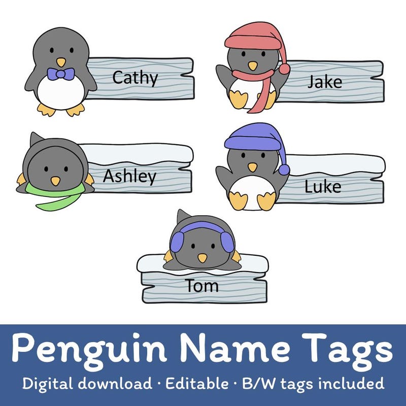 Penguin Plate - Etsy