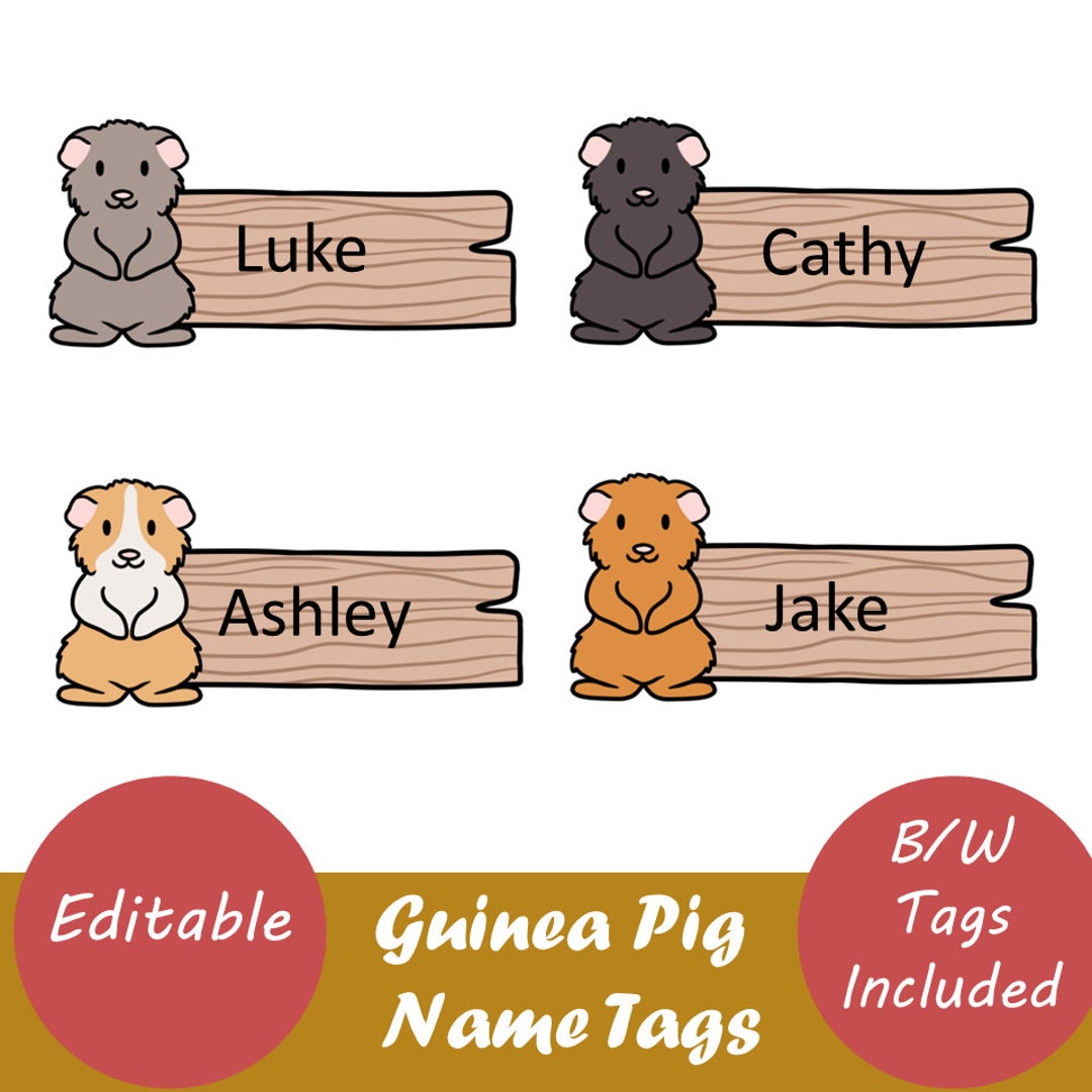 Editable Guinea Pig Name Tags - Etsy