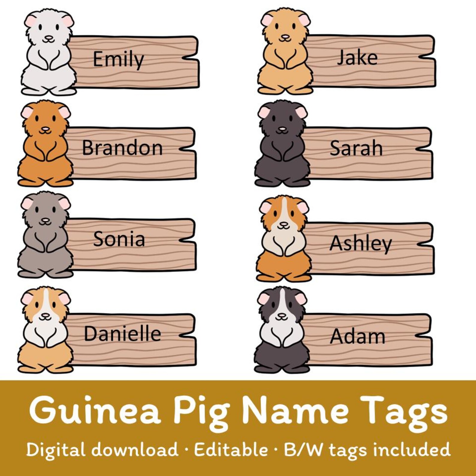 Editable Guinea Pig Name Tags: Printable Classroom Decor (digital ...