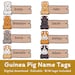Editable Guinea Pig Name Tags: Printable Classroom Decor (digital ...