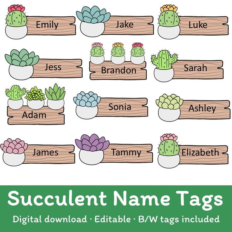 Editable Succulent Name Tags: Printable Classroom Decor (digital ...