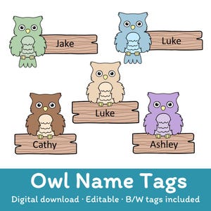 Editable Owl Name Tags, Cute Printable Name Plates for Bulletin Boards ...
