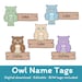 Editable Owl Name Tags: Printable Classroom Decor (digital Download ...