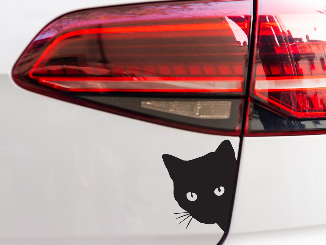 Funny Car Stickers CAT Laptop Vinyl Decal Window - Vinyl Decal Sticker ...