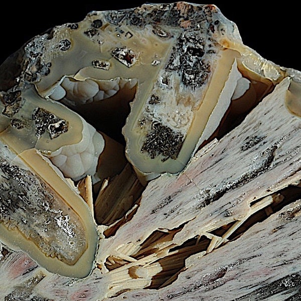 Sagenite Agate - Etsy