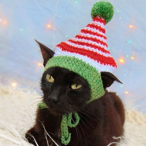 Elf Hat for Cats Cat Elf Costume Christmas Hat for Cat - Etsy