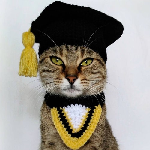 Graduation Costume for Cat Graduation Cat Cap Gift for Cat | Etsy