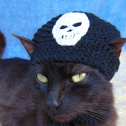 Witch Hat for Cat Halloween Pet Costume Crocheted Witch Hat - Etsy