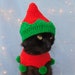 Elf Cat Costume, Elf Cat Outfit, Christams Hat and Collar for Kitten ...