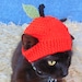 Apple Hat for Cat, Halloween Apple Pet Costume, Kitten Outfit, Cat ...