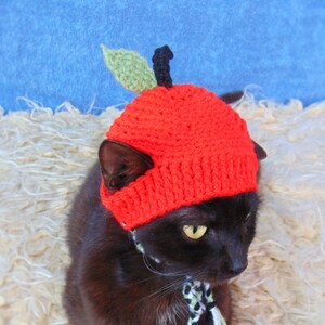 Apple Hat for Cat, Halloween Apple Pet Costume, Kitten Outfit, Cat ...