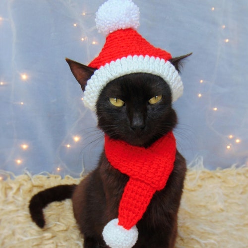 Santa Pet Costume Christmas Cat Outfit Santa Hat and Scarf - Etsy UK