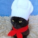Chef Hat for Cat, Chef Pet Costume, Halloween Kitten Outfit, Gift for ...
