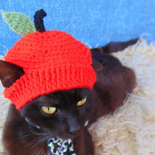 Apple Hat for Cat Halloween Apple Pet Costume Kitten Outfit - Etsy