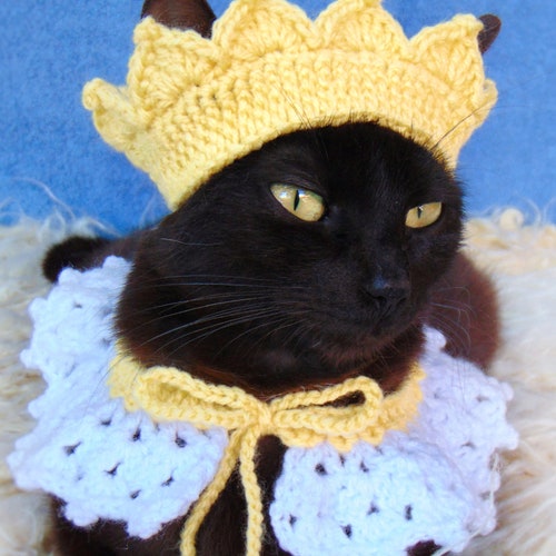 Crown and Collar for Cat Princess Cat Outfit Headpiece for - Etsy