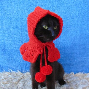 Little Red Riding Hood Cat Costume, Halloween Pet Costume, Cat Hoodie ...