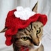 Summer Hat for Cat Red Brim Kitty Hat Flower Hats for Cats | Etsy