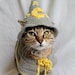 Graduation Costume for Cat, Graduation Cat Cap, Gift for Cat Lover, Cat ...