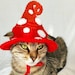 Summer Hat for Cat Red Brim Kitty Hat Flower Hats for Cats - Etsy