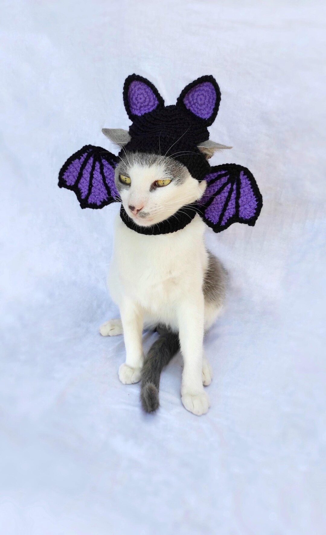 Halloween Bat Pet Costume, Bat Hat for Cat, Bat Hat and Collar With ...