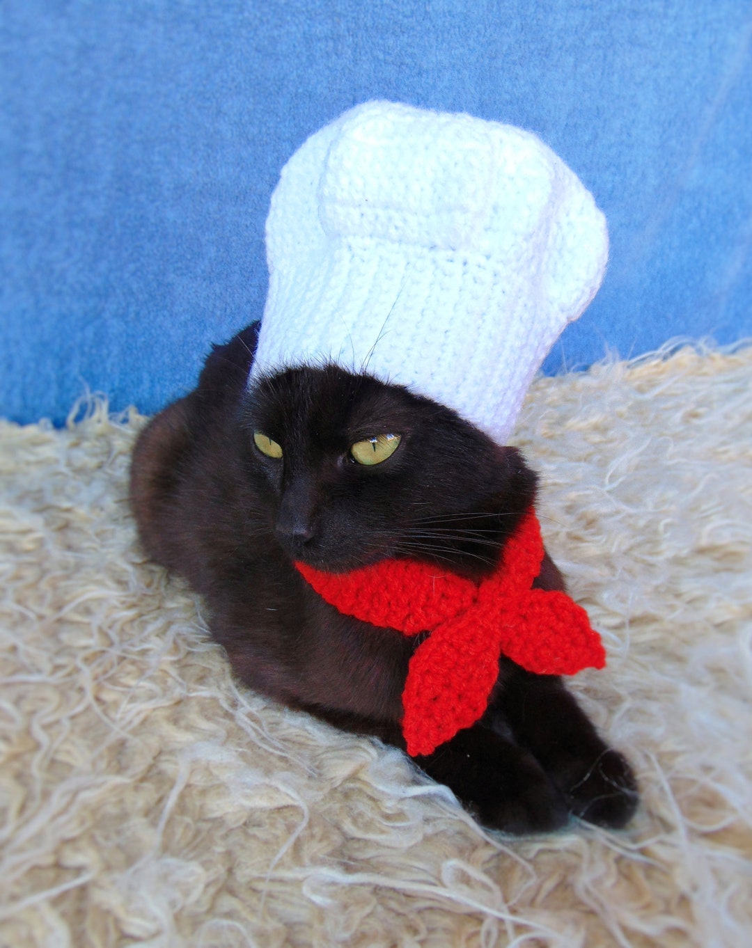 Chef Hat for Cat, Chef Pet Costume, Halloween Kitten Outfit, Gift for ...