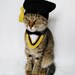 Graduation Costume for Cat, Graduation Cat Cap, Gift for Cat Lover, Cat ...
