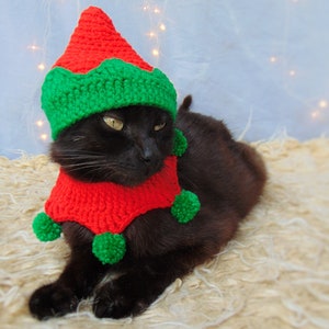 Elf Cat Costume, Elf Cat Outfit, Christams Hat and Collar for Kitten ...