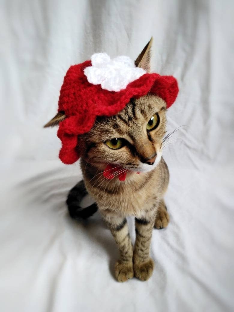 Summer Hat for Cat Red Brim Kitty Hat Flower Hats for Cats | Etsy