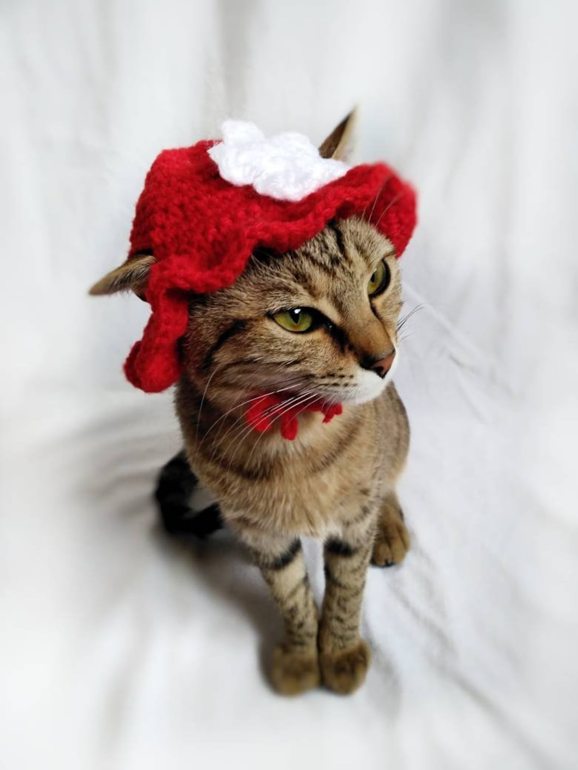 Summer Hat for Cat Red Brim Kitty Hat Flower Hats for Cats | Etsy