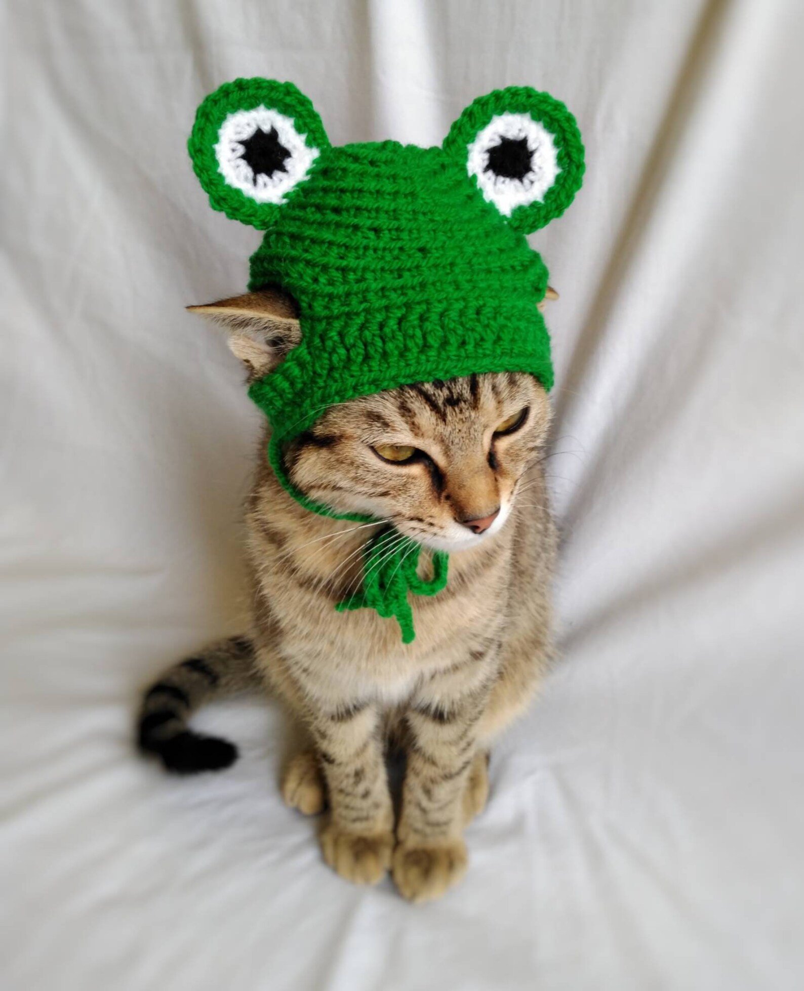 Frog Hat for Cat, Frog Pet Costume, Kitten Outfit, Cat Accessories ...