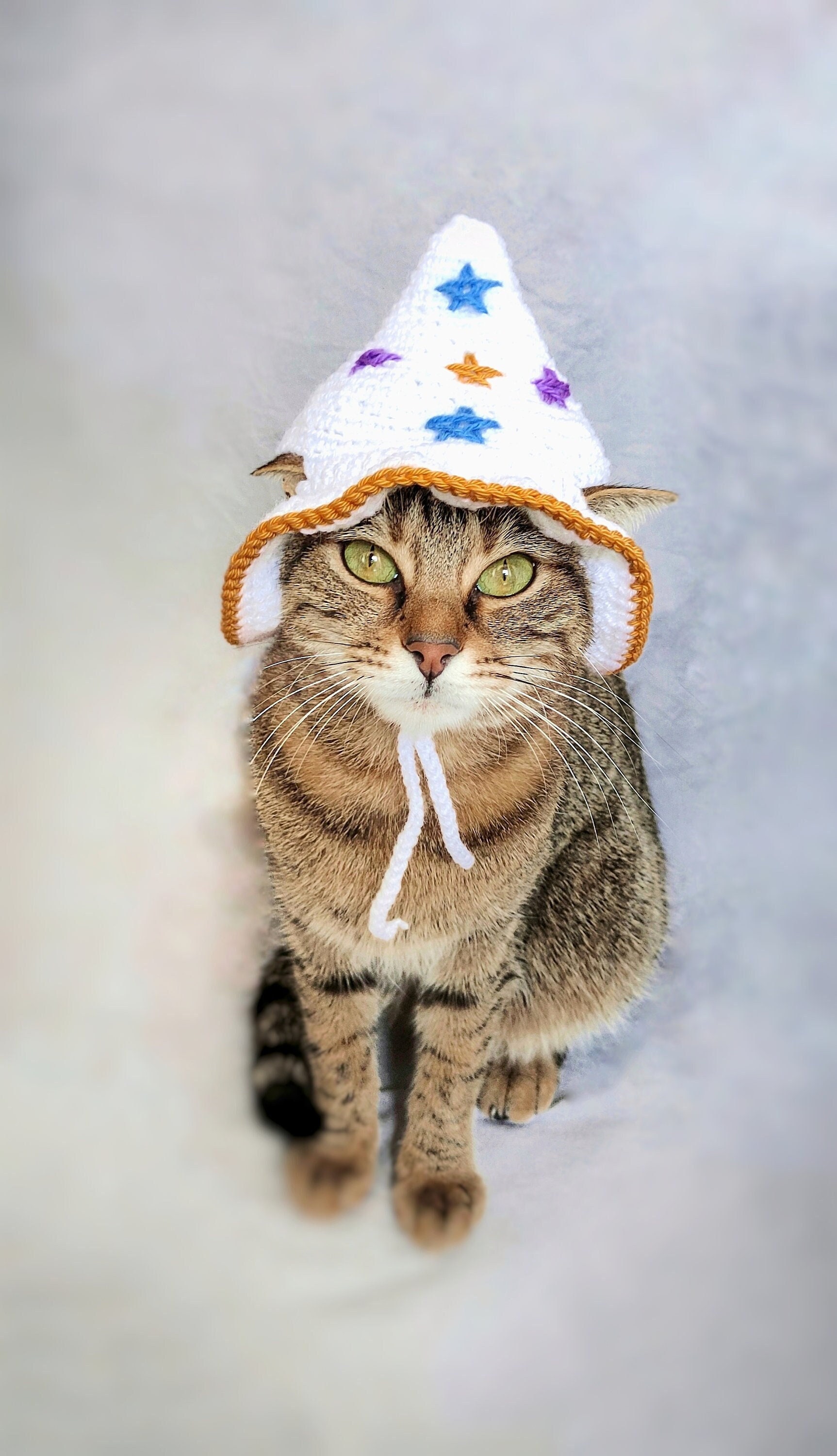 White Wizard Hat for Cat Halloween Wizard Pet Costume White - Etsy