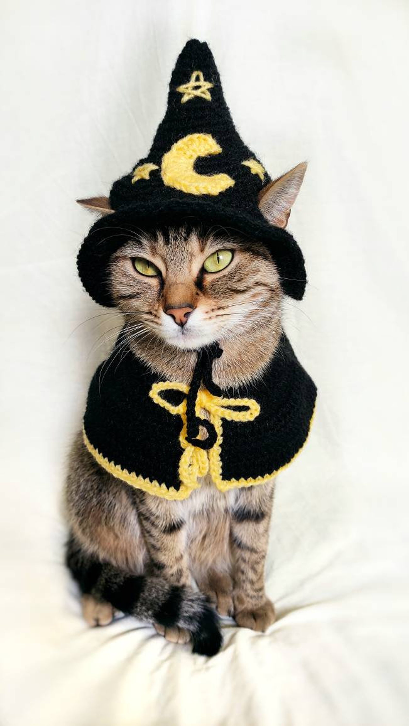 Wizard Pet Costume Wizard Costume for Cat Halloween Cat Hat - Etsy