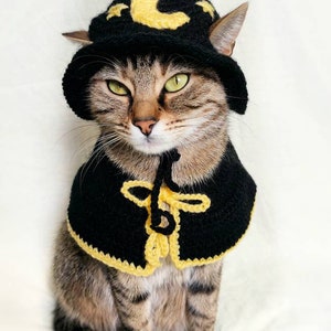 Wizard Pet Costume, Wizard Costume for Cat, Halloween Cat Hat, Wizard ...