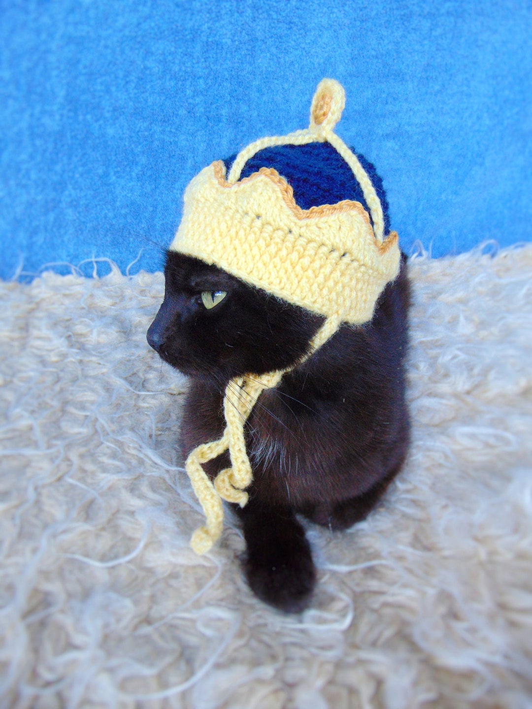 Crown Hat for Cat, Crown Pet Costume, Halloween Crown Cat Outfit, Cat ...